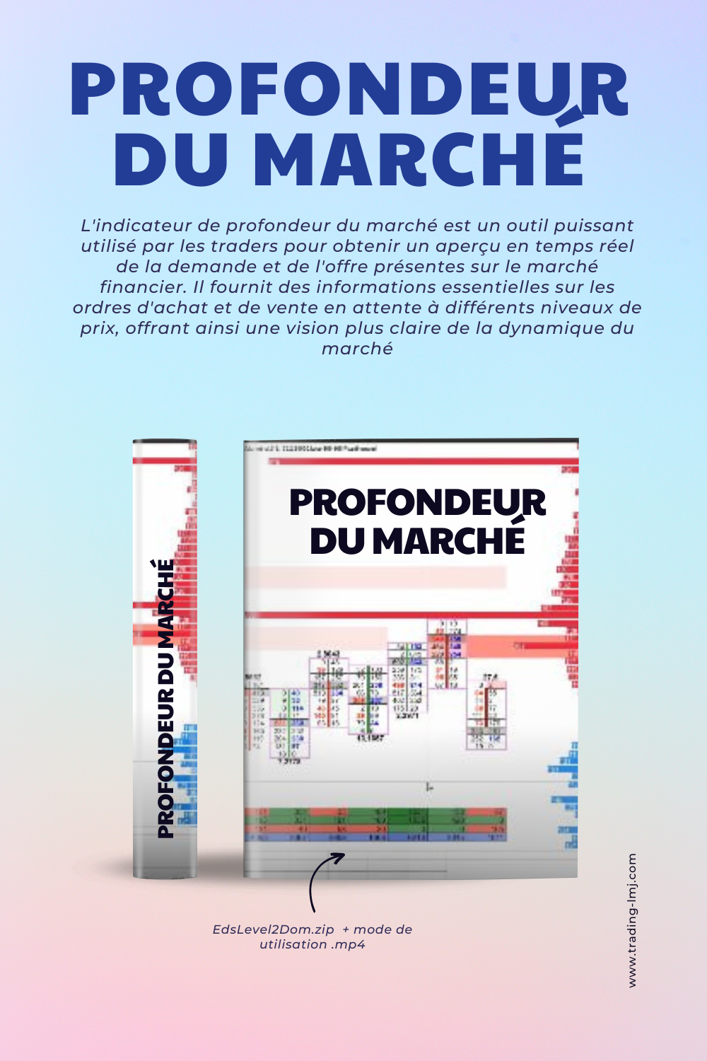 L'indicateur-Profondeur du Marché Order Flow